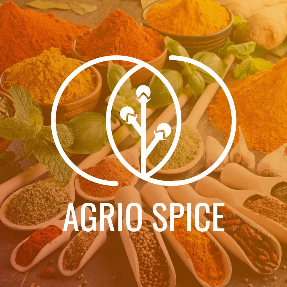 AGRIO SPICE | Best Indonesia Spices Supplier and Exporter